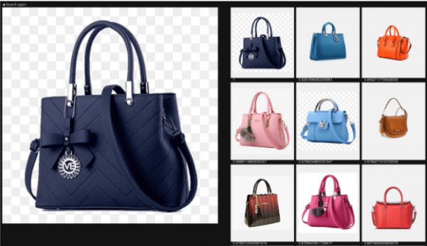 Aem Visual & Semantic Search » CodeLand
